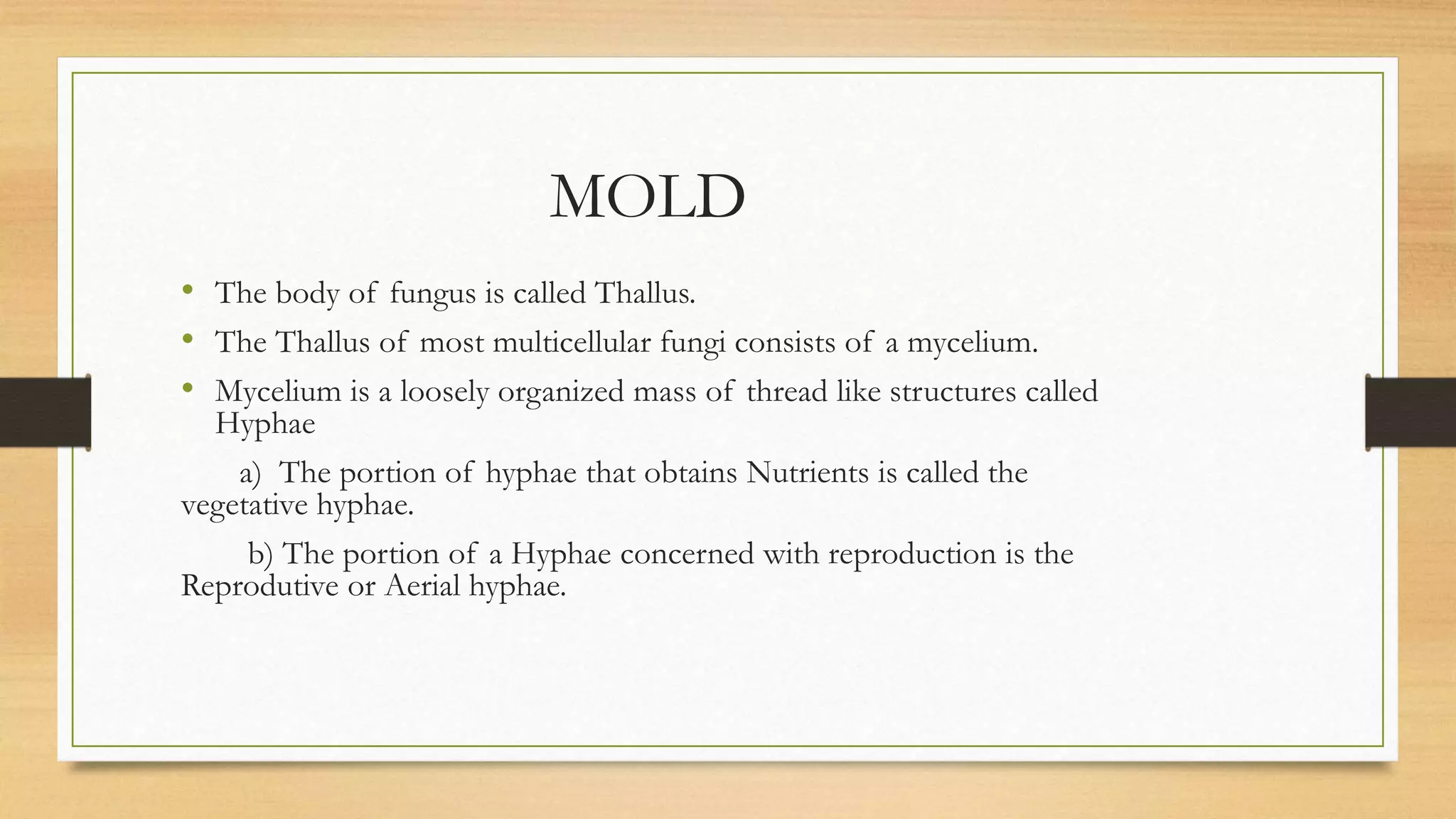 character of Mold & Yeast.pptx