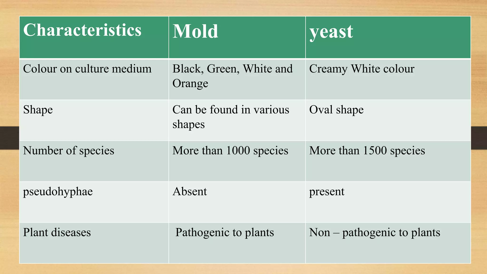 character of Mold & Yeast.pptx