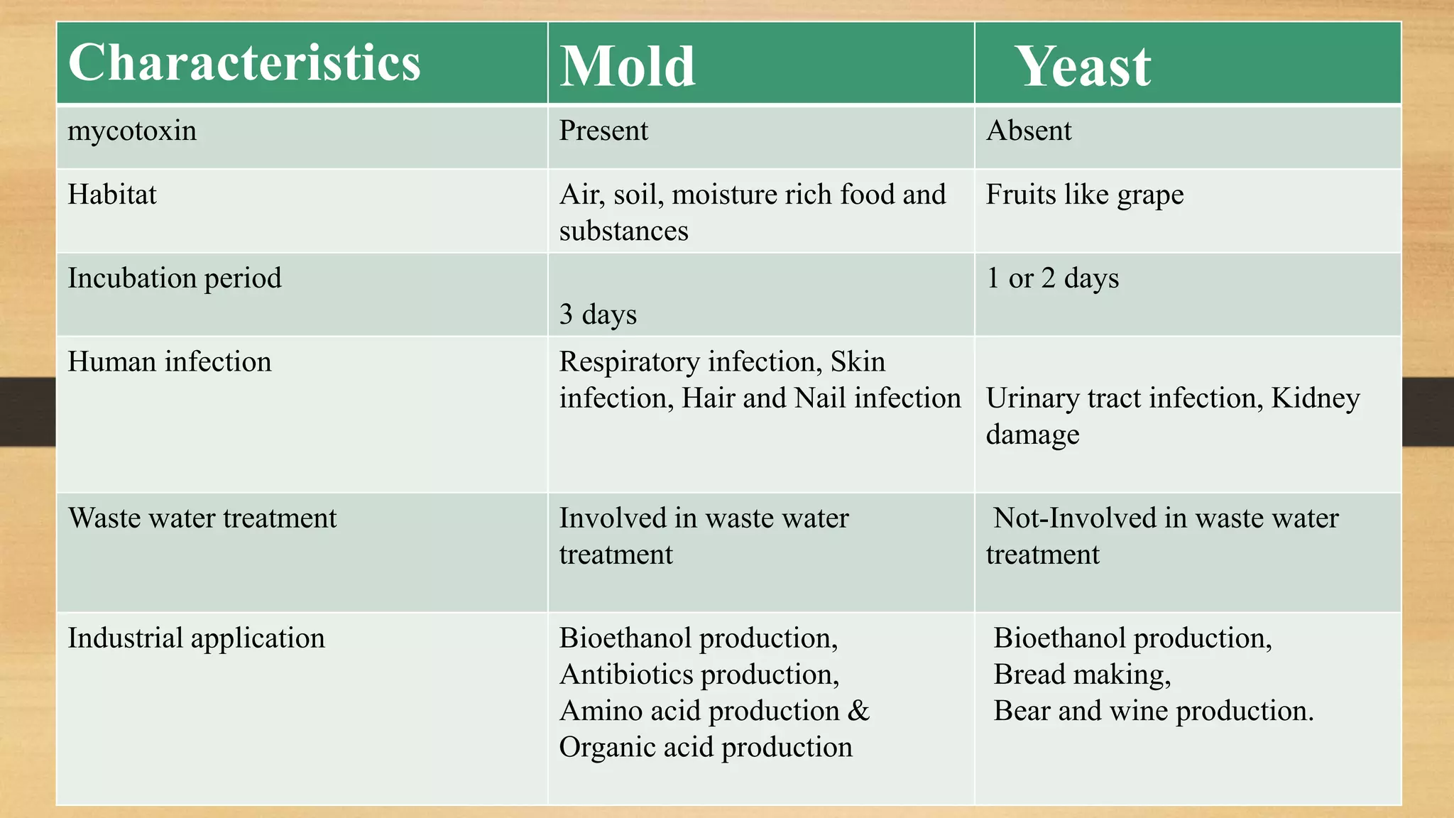 character of Mold & Yeast.pptx