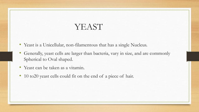 character of Mold & Yeast.pptx