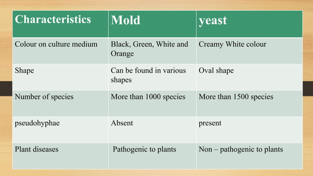 character of Mold & Yeast.pptx