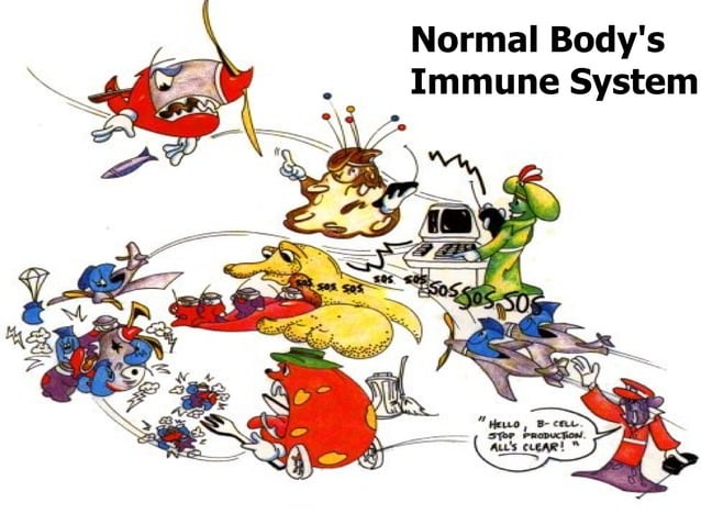 Characters of the Immune System | PPT