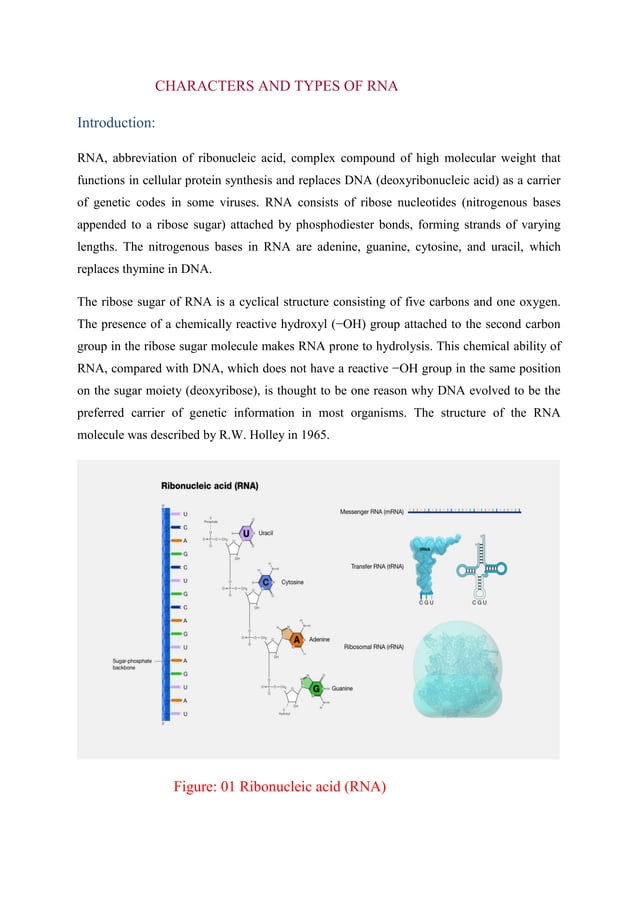 CHARACTERS AND TYPES OF RNA | PDF