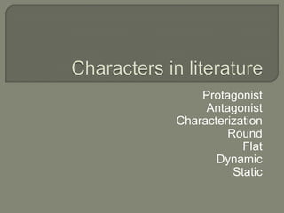 Static Character Literary Term