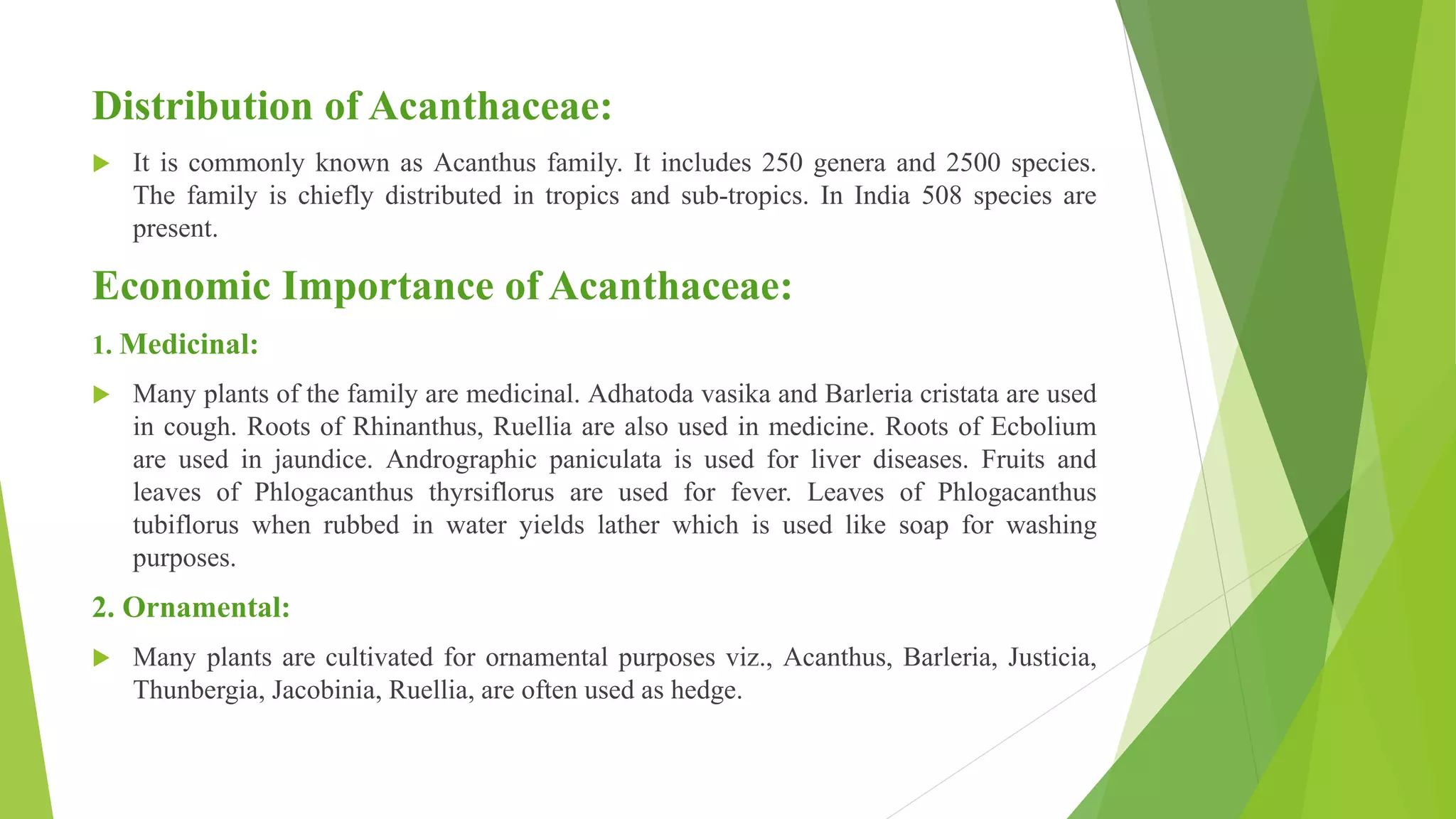 Characters of acanthaceae | PPTX