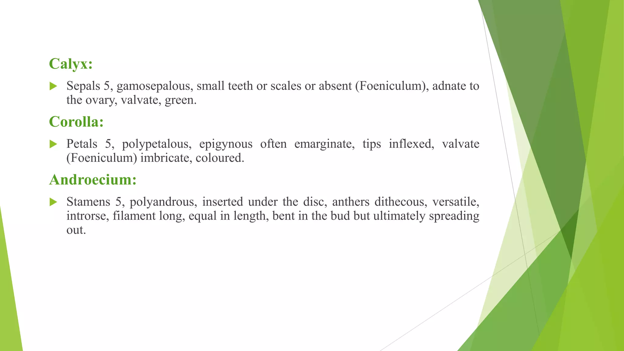 Characters of apiaceae | PPTX | Herbs and Supplements | Alternative Medicine