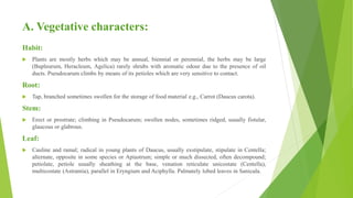 Characters of apiaceae | PPTX | Herbs and Supplements | Alternative ...