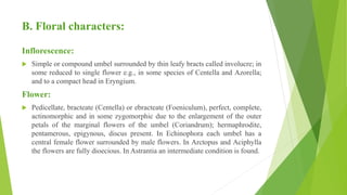 Characters of apiaceae | PPTX | Herbs and Supplements | Alternative Medicine