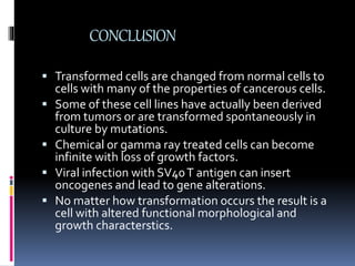 Characterstics of transformed cells | PPTX