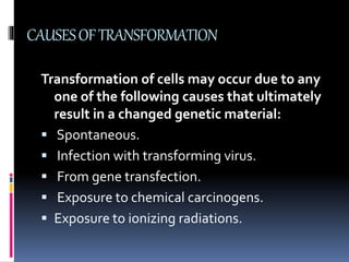 Characterstics of transformed cells | PPTX