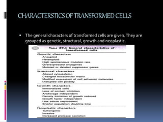 Characterstics of transformed cells | PPTX