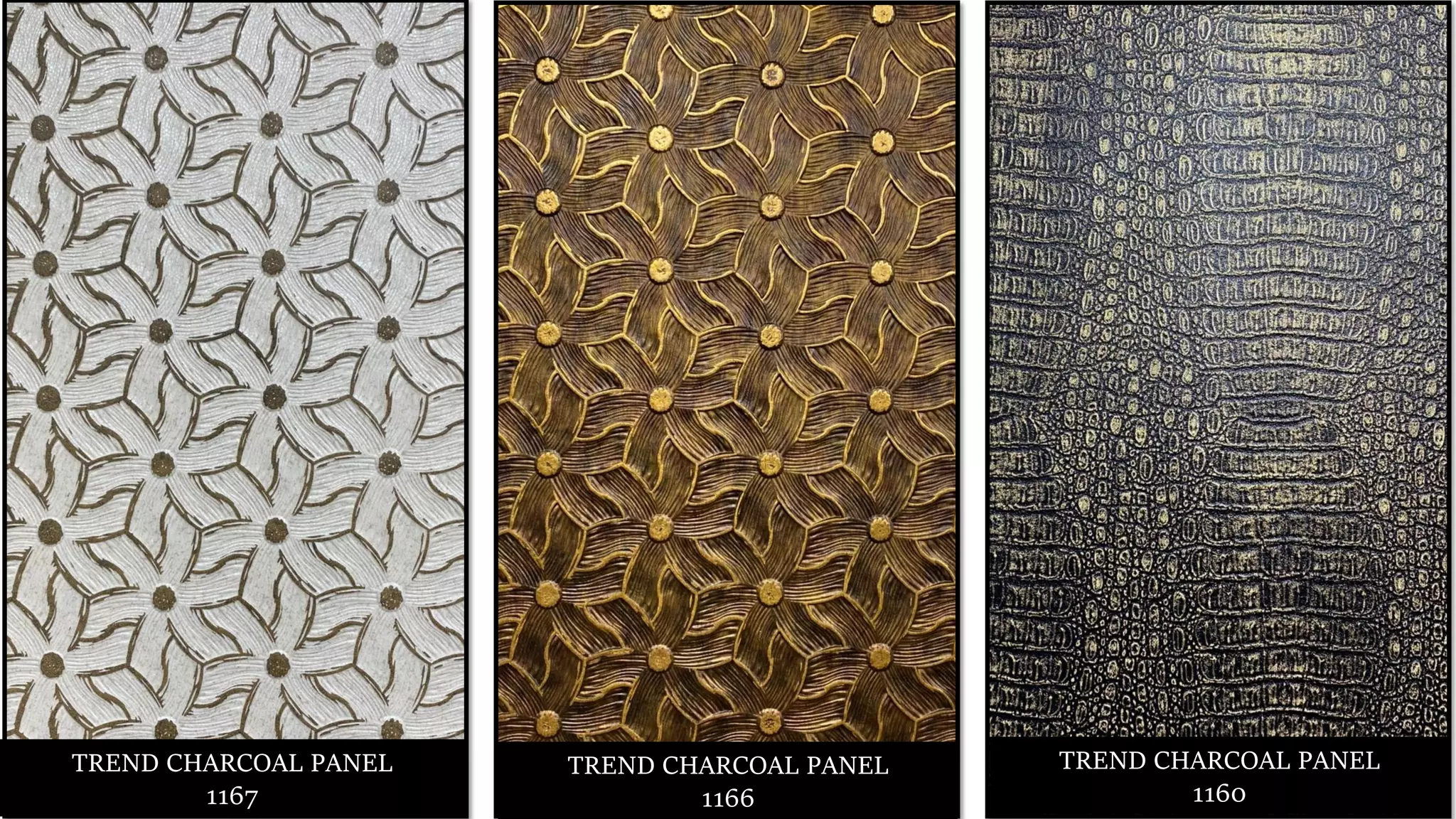 CHARCOAL PANELS-1.pdf