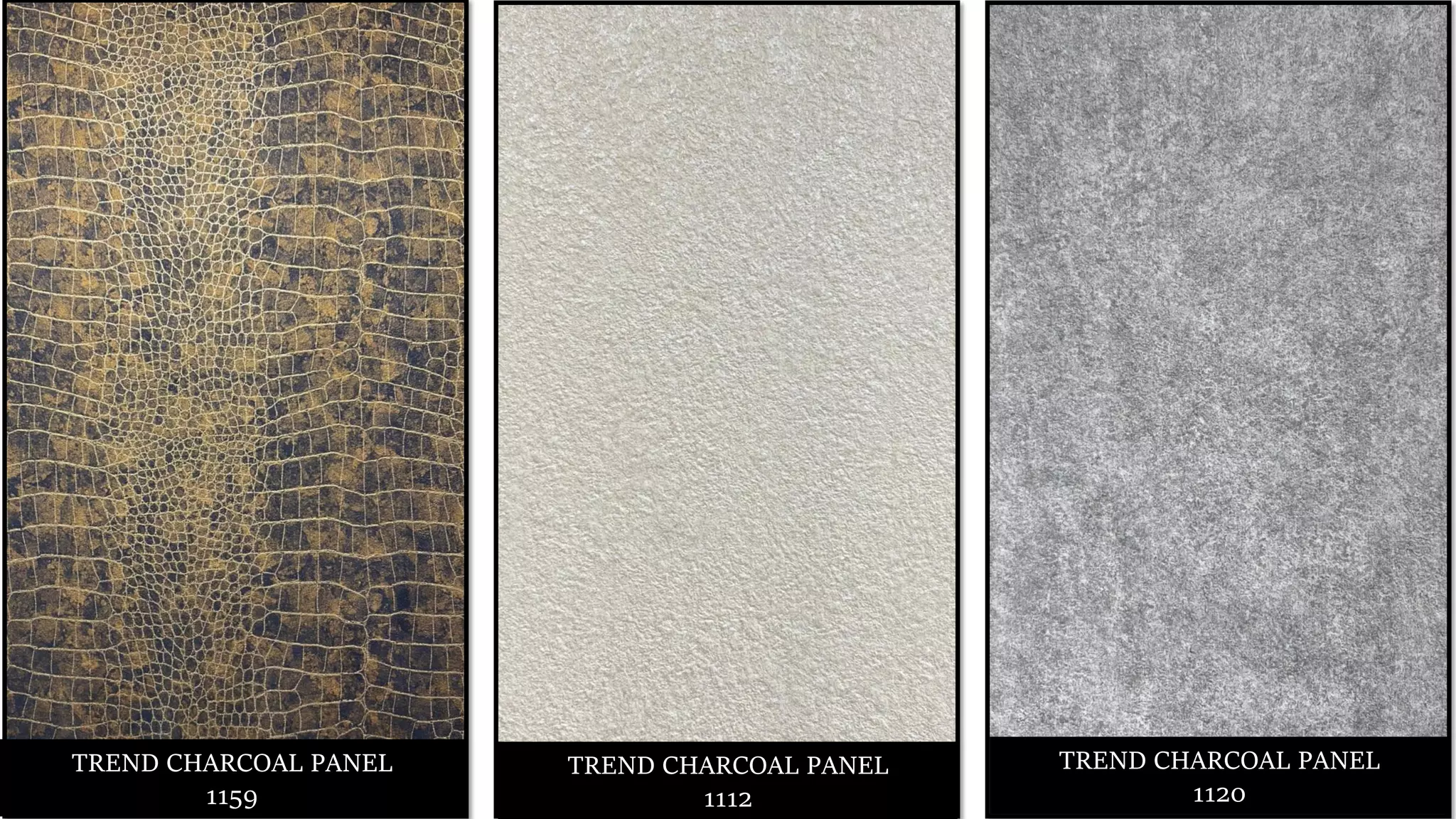 CHARCOAL PANELS-1.pdf