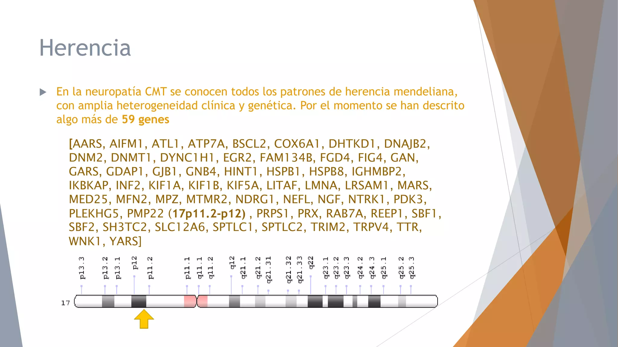 Charcot marie tooth | PPTX