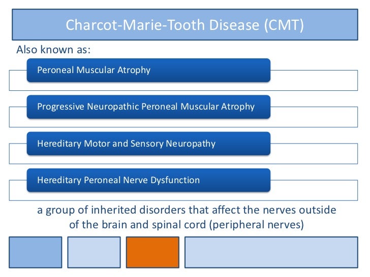 Charcot Marie Tooth Disease & Orthotic Management