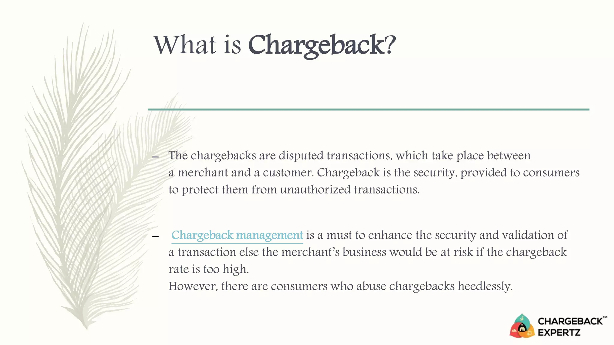 A Quick Review on the Chargeback Process | PPTX