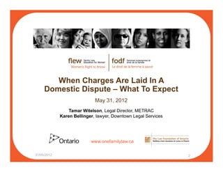 When Charges are Laid in a Domestic Dispute - What to Expect | PDF