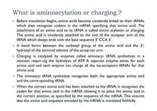 Charging of tRNA, Aminoacyl tRNA Synthetases | PDF