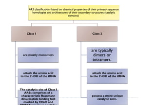 Charging of tRNA, Aminoacyl tRNA Synthetases | PDF