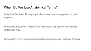 Anatomical positions of cranial and caudal | PPT