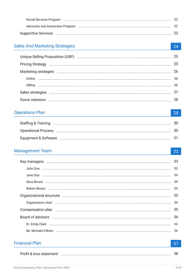 Charity Business Plan Example | PDF