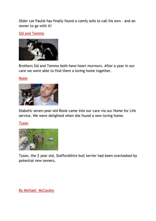 Charity campaign rspca | PDF