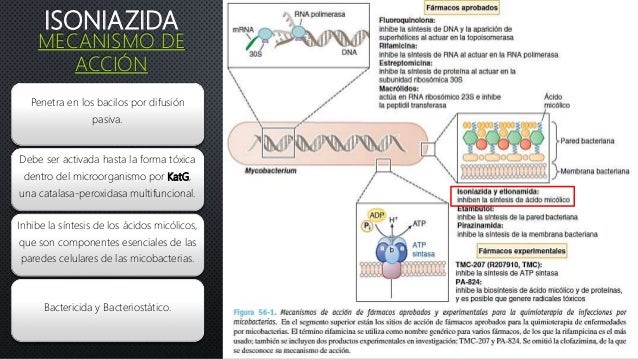 FÁRMACOS ANTI-TUBERCULOSOS