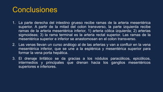 Charla cirugia: Anatomía: Irrigación y drenaje de Colon y Recto | PPTX