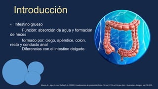 Charla cirugia: Anatomía: Irrigación y drenaje de Colon y Recto | PPTX