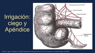 Charla cirugia: Anatomía: Irrigación y drenaje de Colon y Recto | PPTX