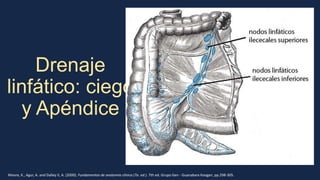 Charla cirugia: Anatomía: Irrigación y drenaje de Colon y Recto | PPTX
