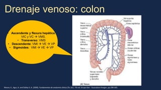 Charla cirugia: Anatomía: Irrigación y drenaje de Colon y Recto | PPTX