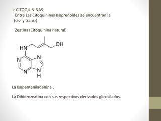 Manejo Nutricional de cultivos con Citoquininas | PPTX