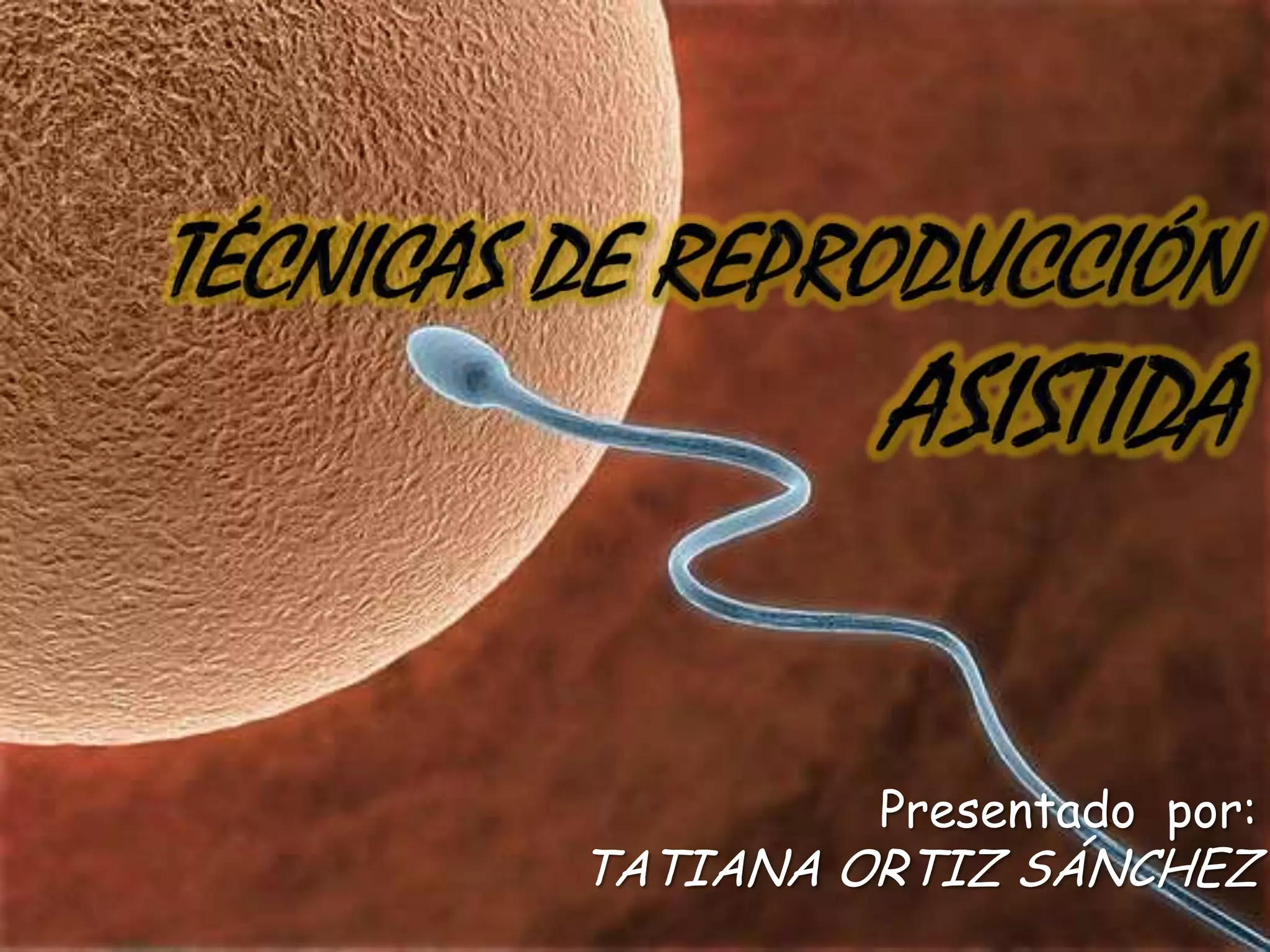 Métodos de reproducción asistida | PPT