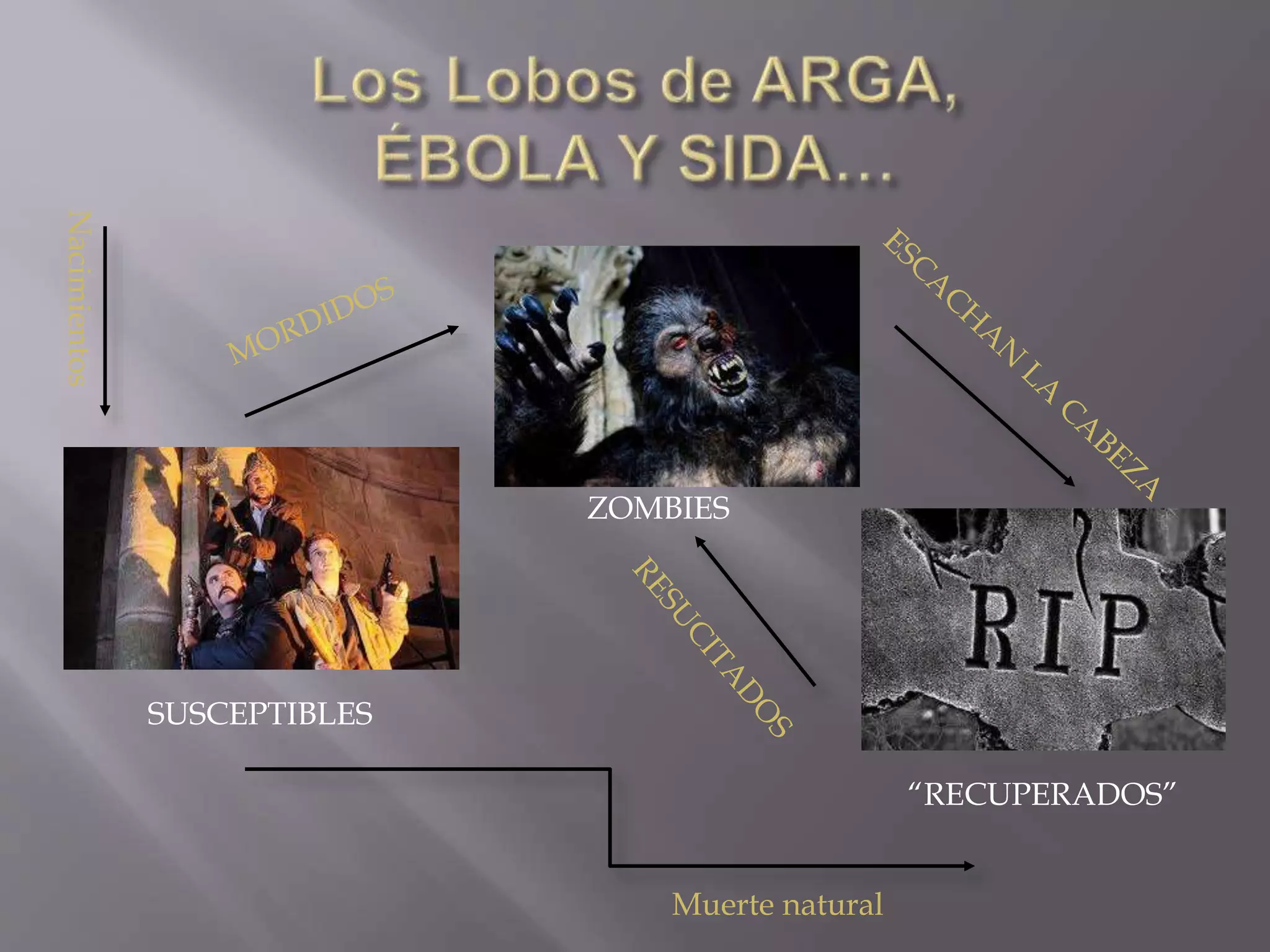 Los lobos de arga .Fernando Díez Vegas | PPT