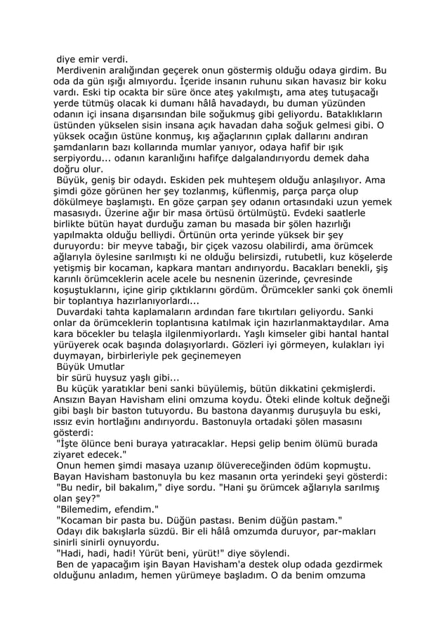 Charles dickens great expectations | PDF