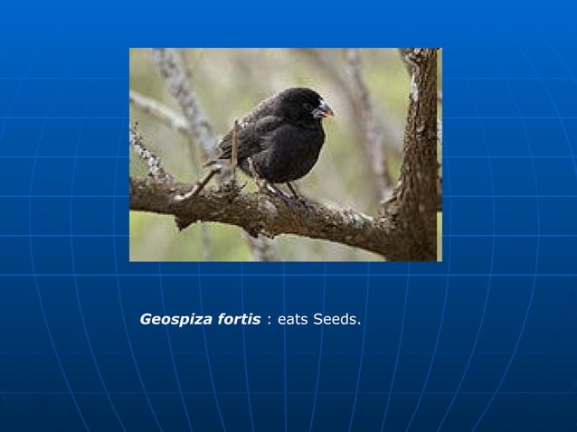 Charles Darwin | PPT