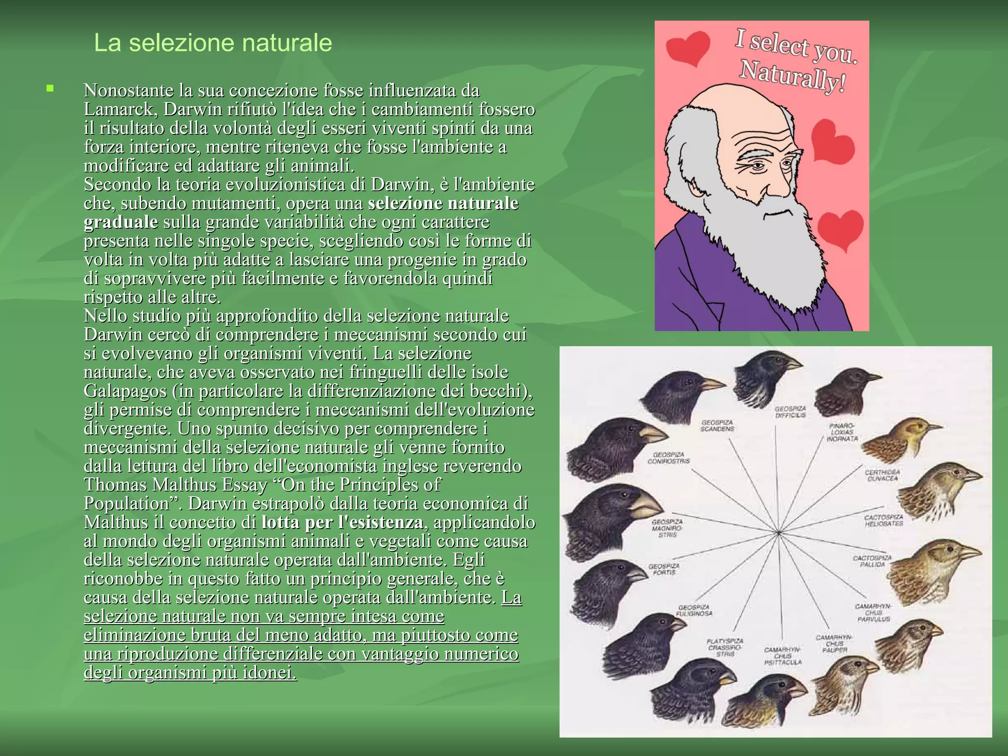 Charles darwin | PPT