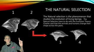 Charles Darwin 3 | PPTX | Biological Sciences | Science