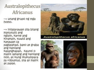 Charles darwin.pptx.13