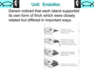 Charles Darwin | PPT