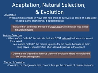 Darwin, Evolution, & Natural Selection (Intro) | PPT