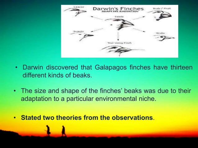 Charles darwin & The Galapagos Islands | PPTX | Biological Sciences ...