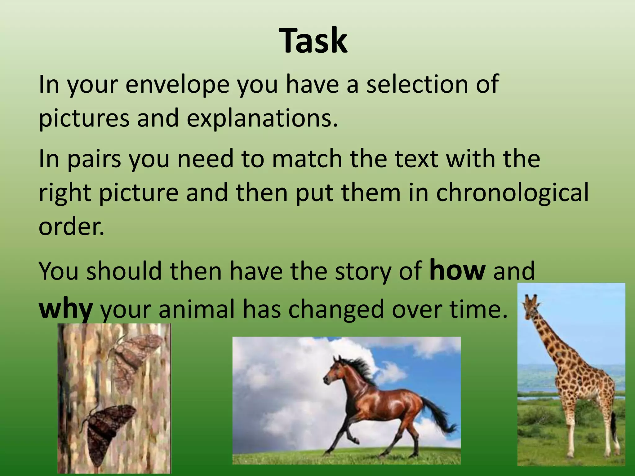 Charles Darwin Lesson | PPT | Free Download
