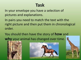 Charles Darwin Lesson | PPTX