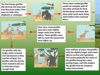 Charles Darwin Lesson | PPTX