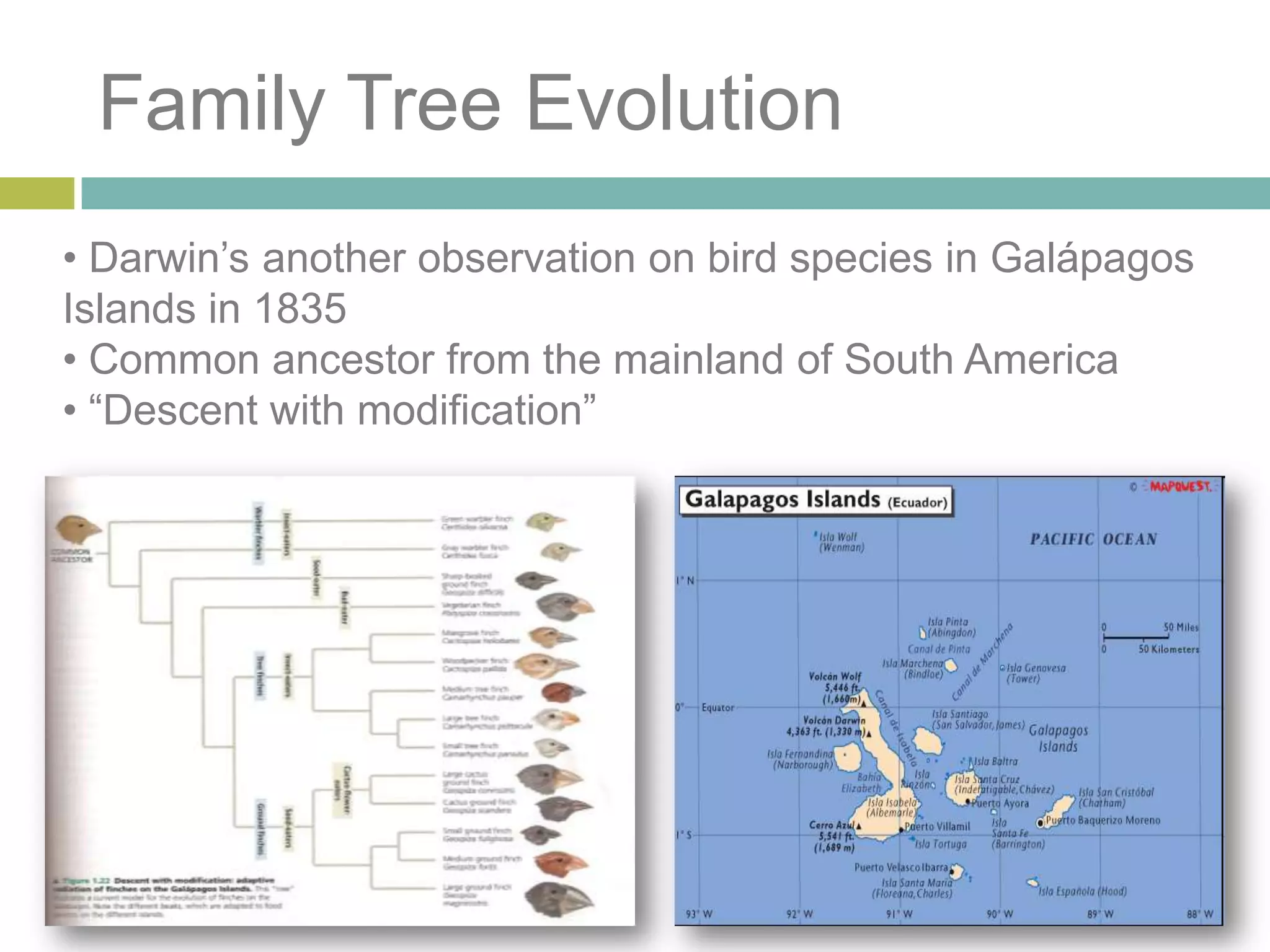 Charles darwin & Natural Selection | PPTX