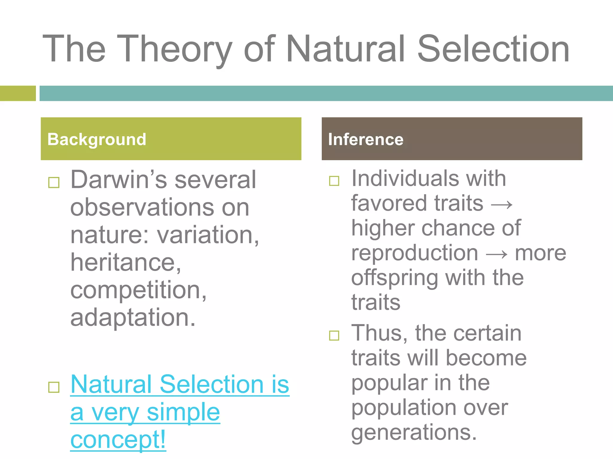 Theory Of Evolution of Natural Selection by DARWIN | PPTX