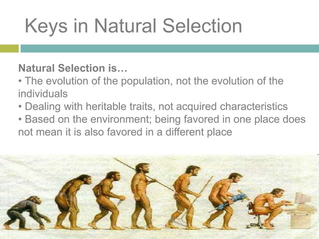 Theory Of Evolution of Natural Selection by DARWIN