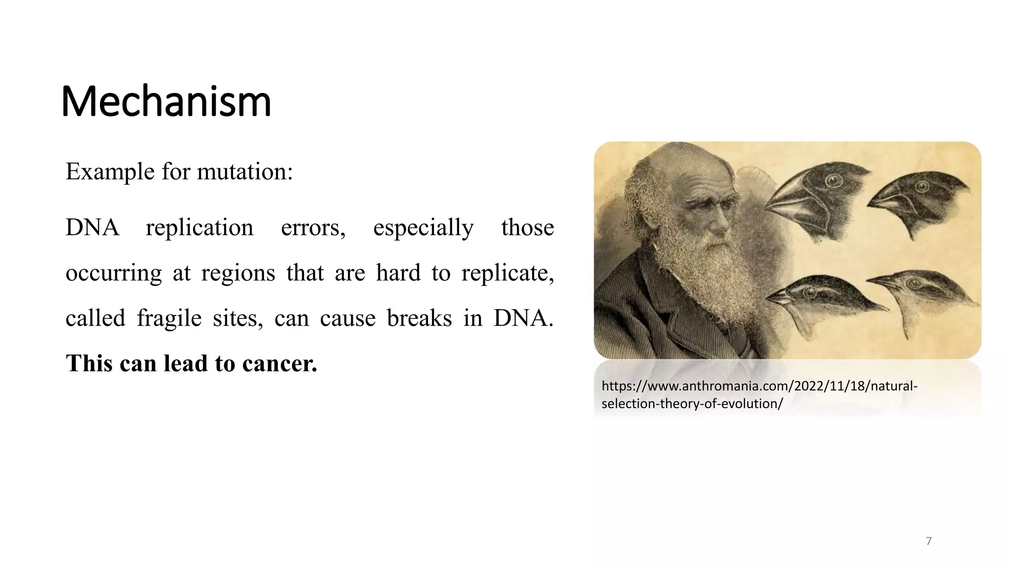 Charles Darwins Theory | PPTX